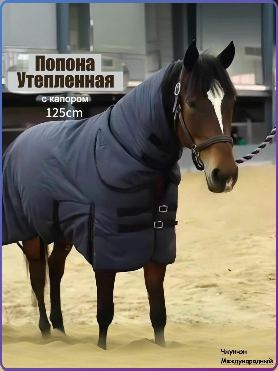 Попона для лошади