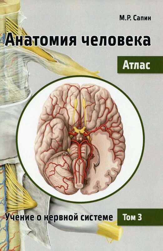 Анатомия человека. Атлас. В 3 т. Т. 3: Учение о нервной системе. 2-е изд, перераб (Сапин М. Р.)