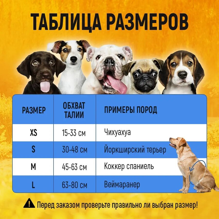 Пояс для кобелей — фото 1