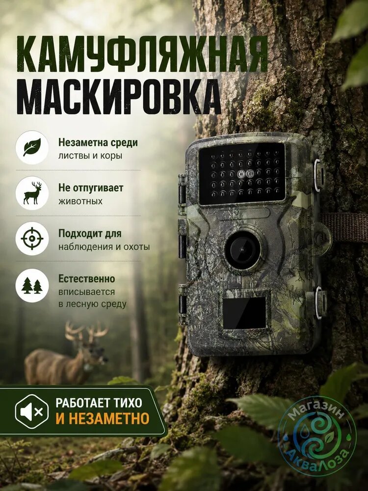 Фотоловушка — фото 1