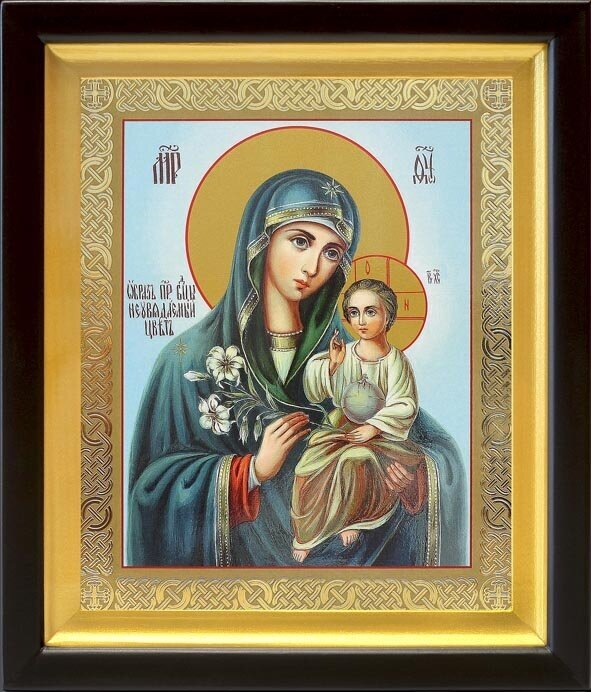 Икона Божией Матери "Неувядаемый Цвет" (лик № 060), в темном деревянном киоте 19*22,5 см