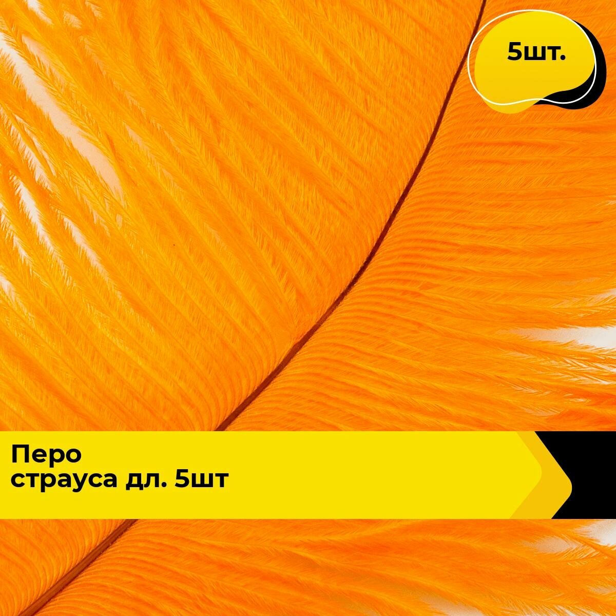 Перья перо для рукоделия и шитья, 5 шт.