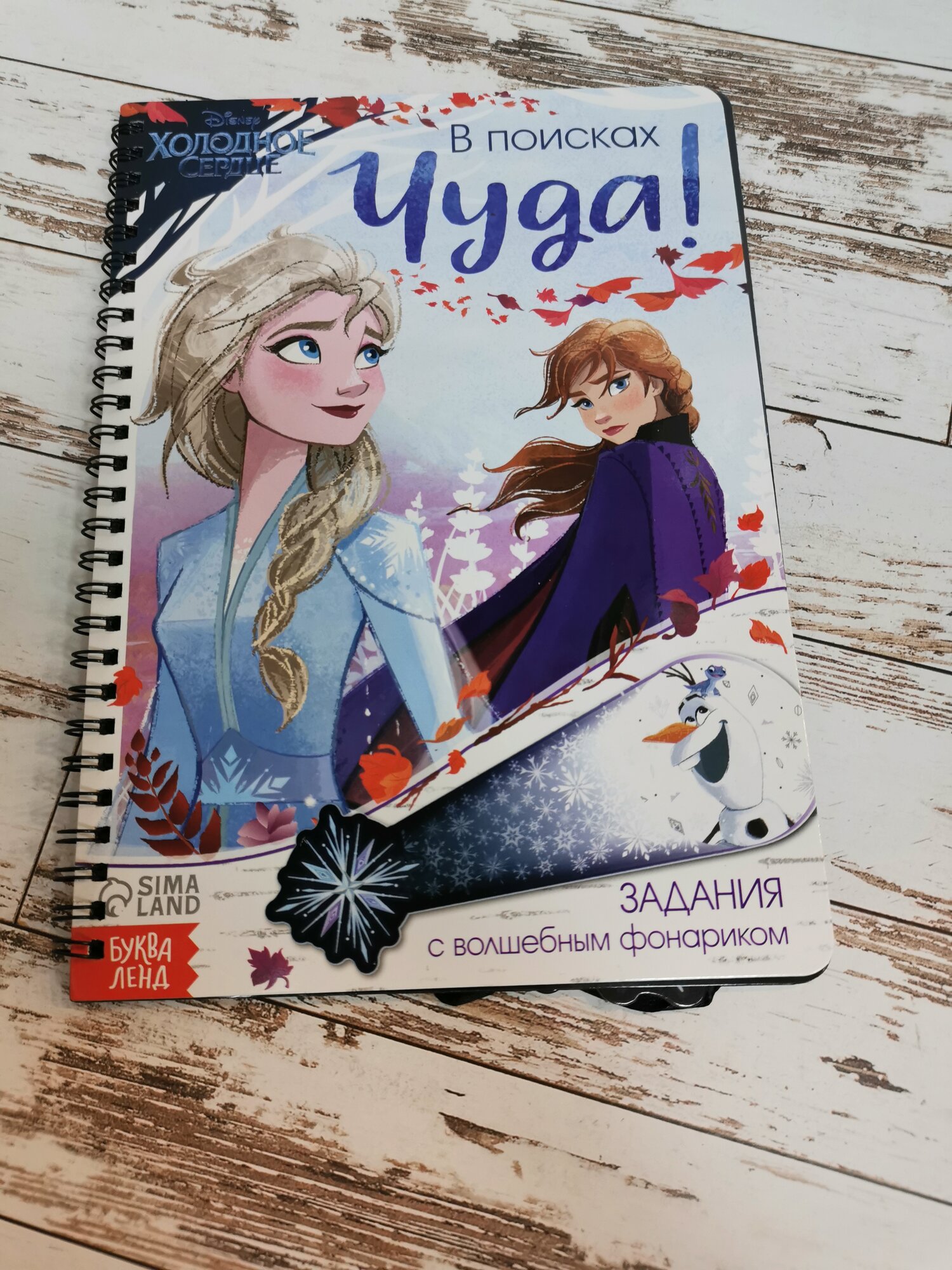 Книга с фонариком В поисках Чуда