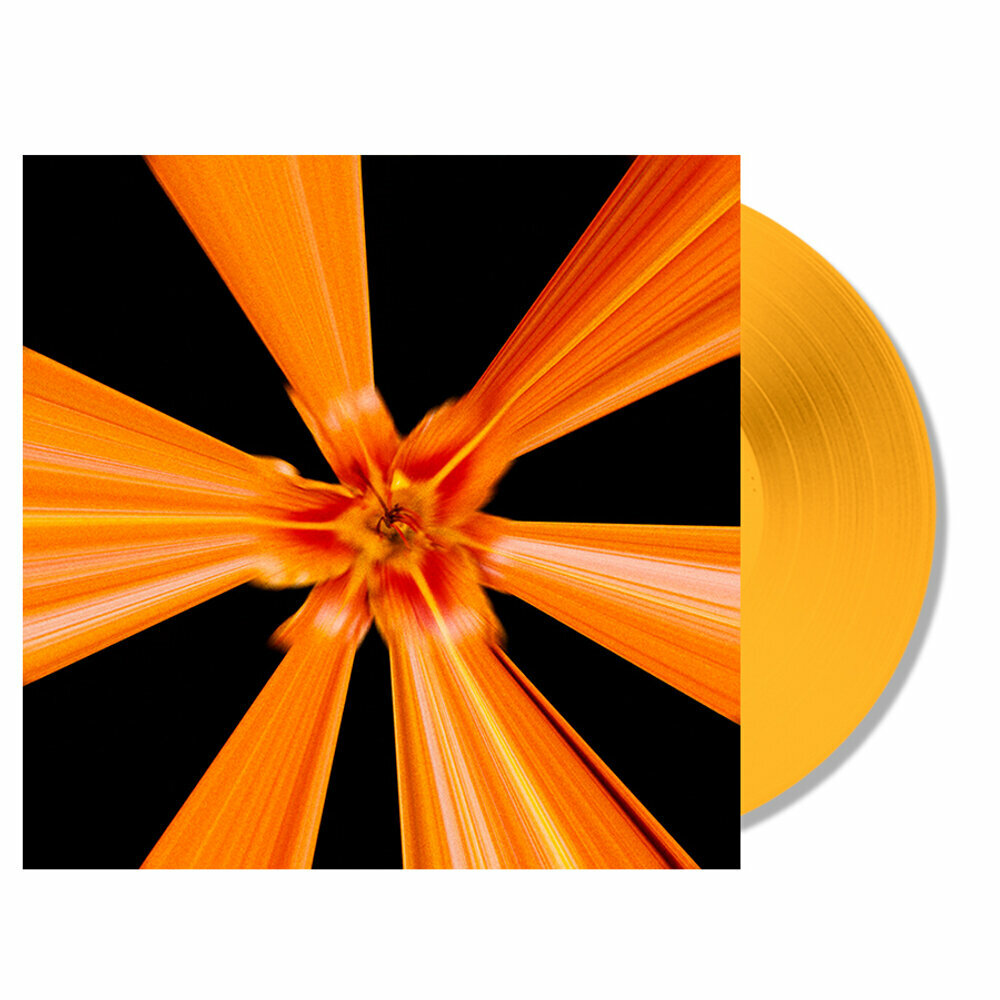 "Gruppa Skrytonite - Потеплел" - виниловая пластинка (1LP) 4660275000509 — фото 1