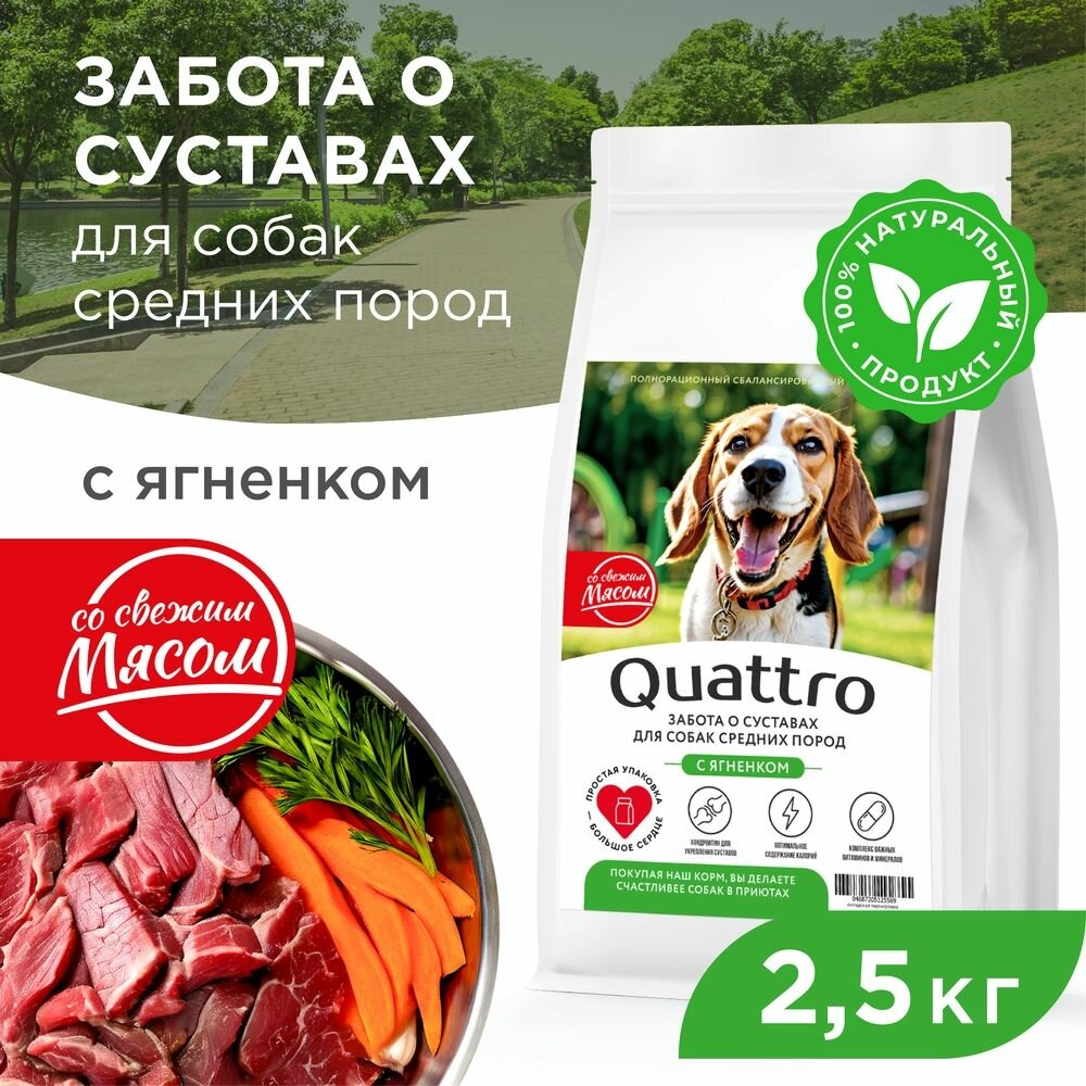 Quattro корм для взрослых собак средних пород, забота о суставах, с ягненком 2,5 кг