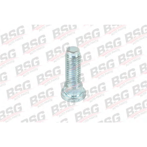 BSG BSG30-230-014 (4395255 / BSG30230014 / YC151118EA) шпилька крепления переднего колеса-белая