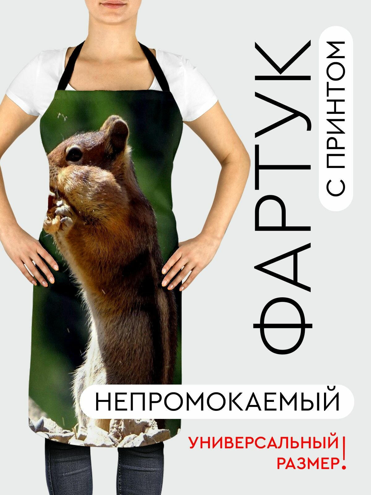 Фартук кухонный, универсальный размер, с водоотталкивающей пропиткой / Животные / бурундук