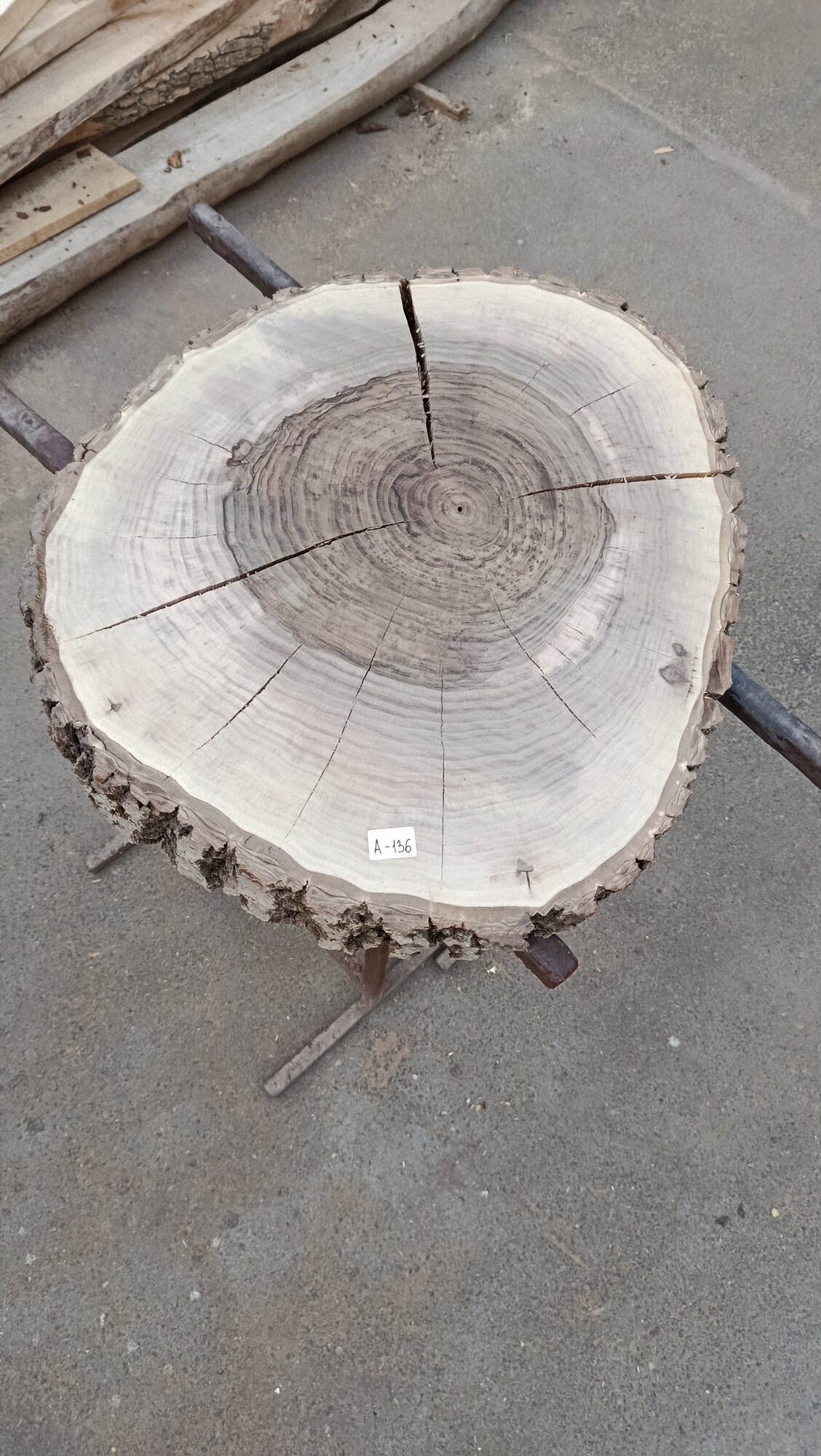 Спил из ореха 57х50х8 см(А136), высушенный спил дерева