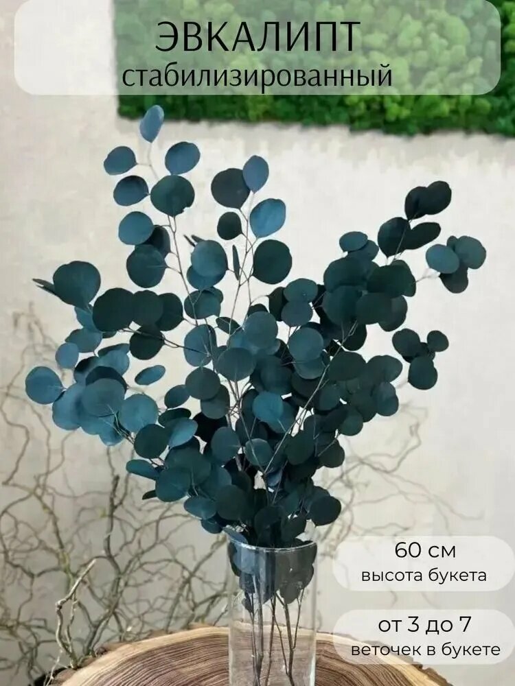 Сухоцветы Эвкалипт, 60 см, 80 гр, 5 шт