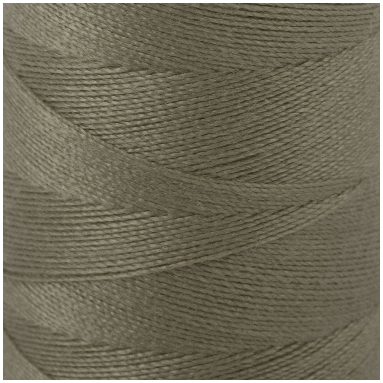 Нитки швейные "Gamma" 50/2 4570 м №356 бежевый