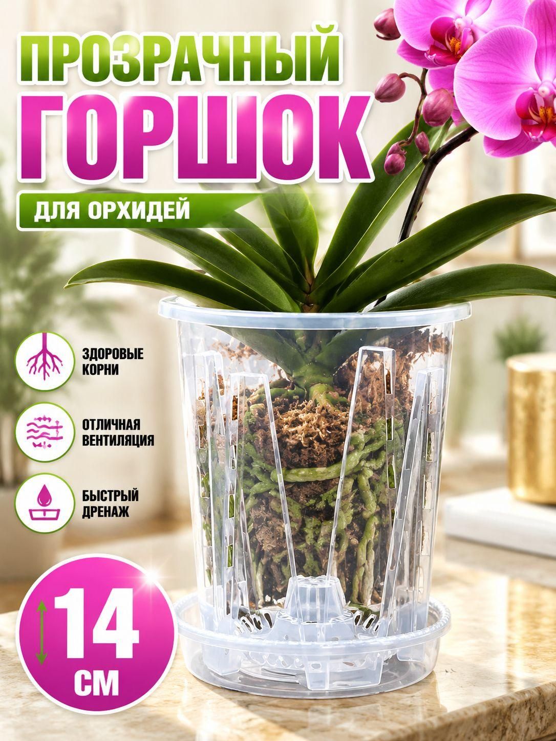 Вазон, 1 шт, цвет прозрачный