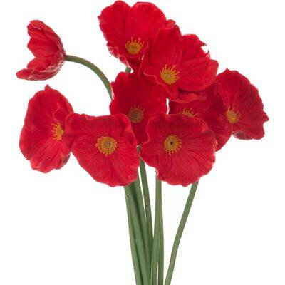 Комплект цветов искусственных Lefard из 9 шт "мак красный" 33 см