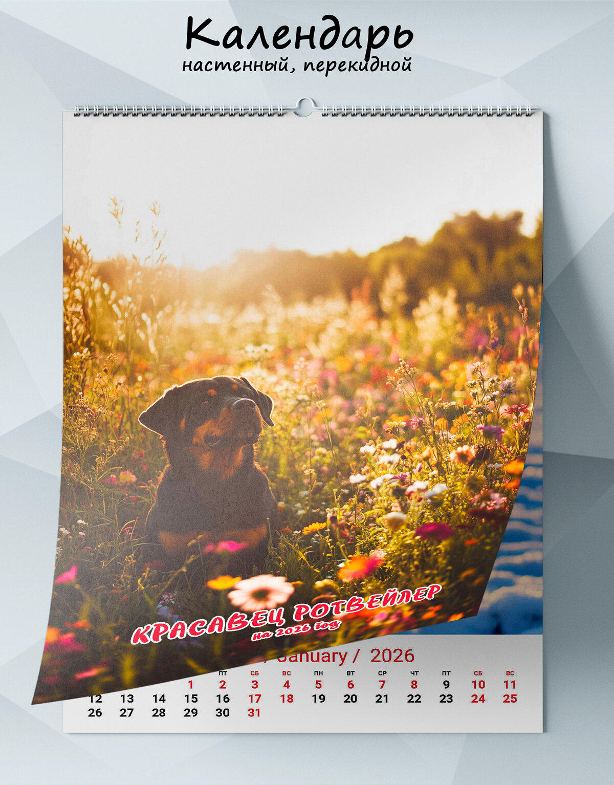 Календарь настенный, перекидной Красавец ротвейлер на 2026 год