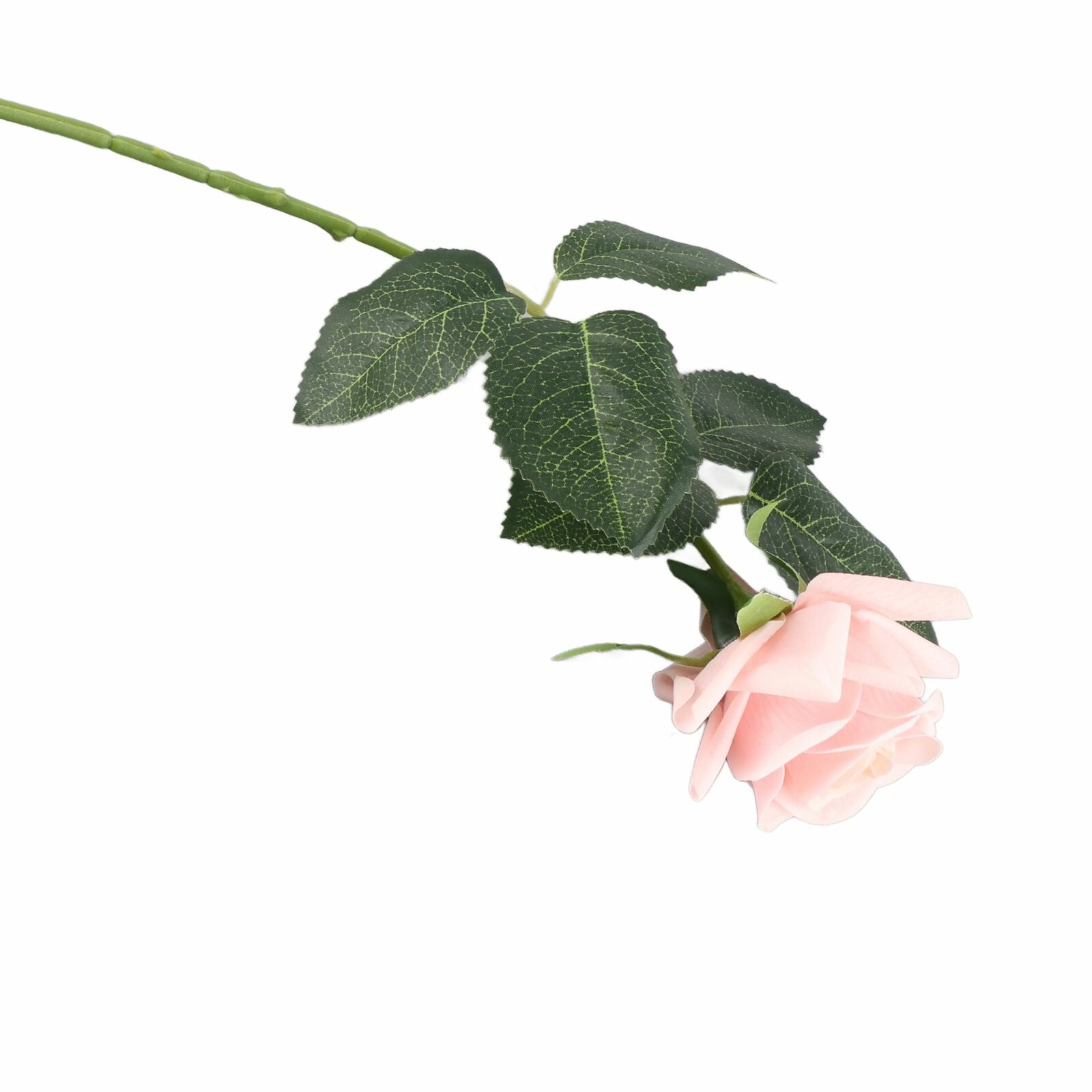 Шампанское с высокой увлажняющей имитацией розы