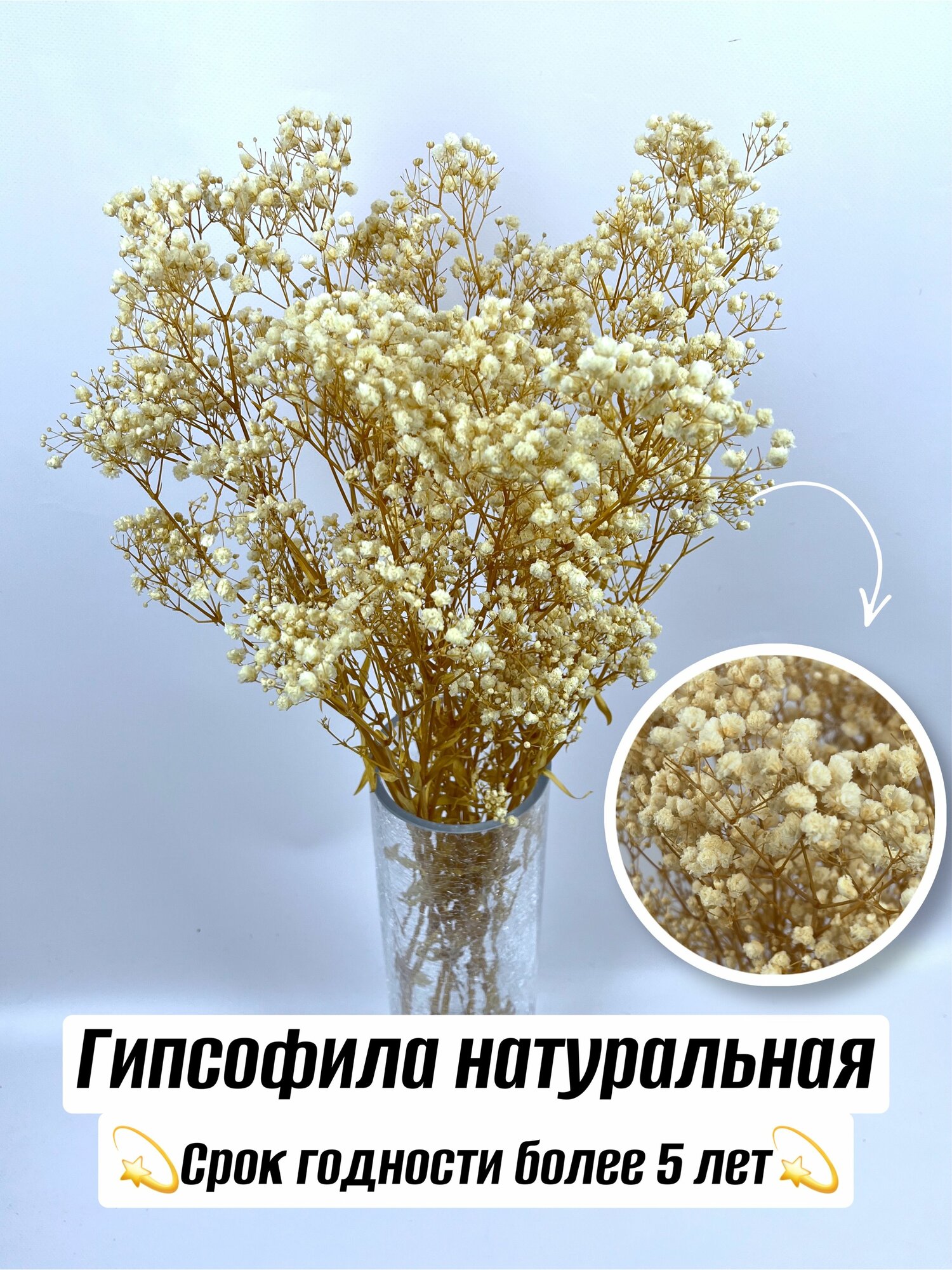 Гипсофила стабилизированная - 75 см