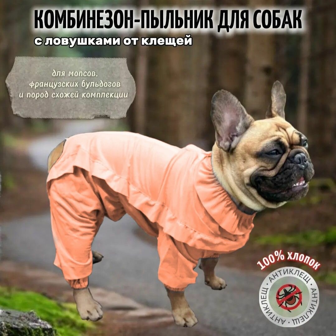 Комбинезон-пыльник с ловушками от клещей для мопсов, французских бульдогов (сука), р.42, персик