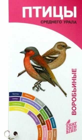 Справочник Кабинетный ученый Птицы Среднего Урала. Воробьиные и неворобьиные. Веер-определитель. 2022 год, В. Рябицев