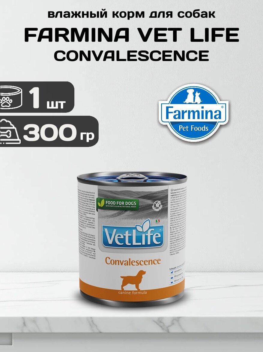 Влажный корм для собак Farmina Vet Life Dog Convalescence в период выздоровления - 300 гр
