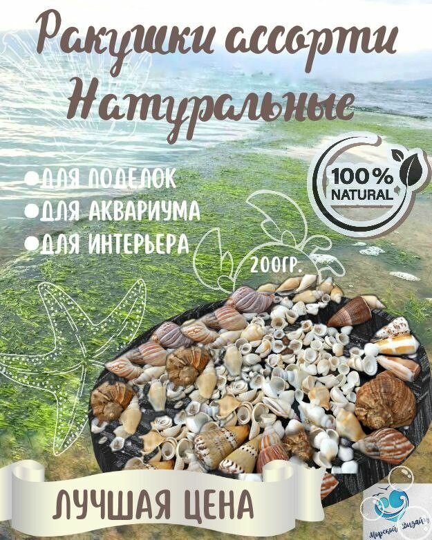 Ракушки морские ассорти 200 грамм
