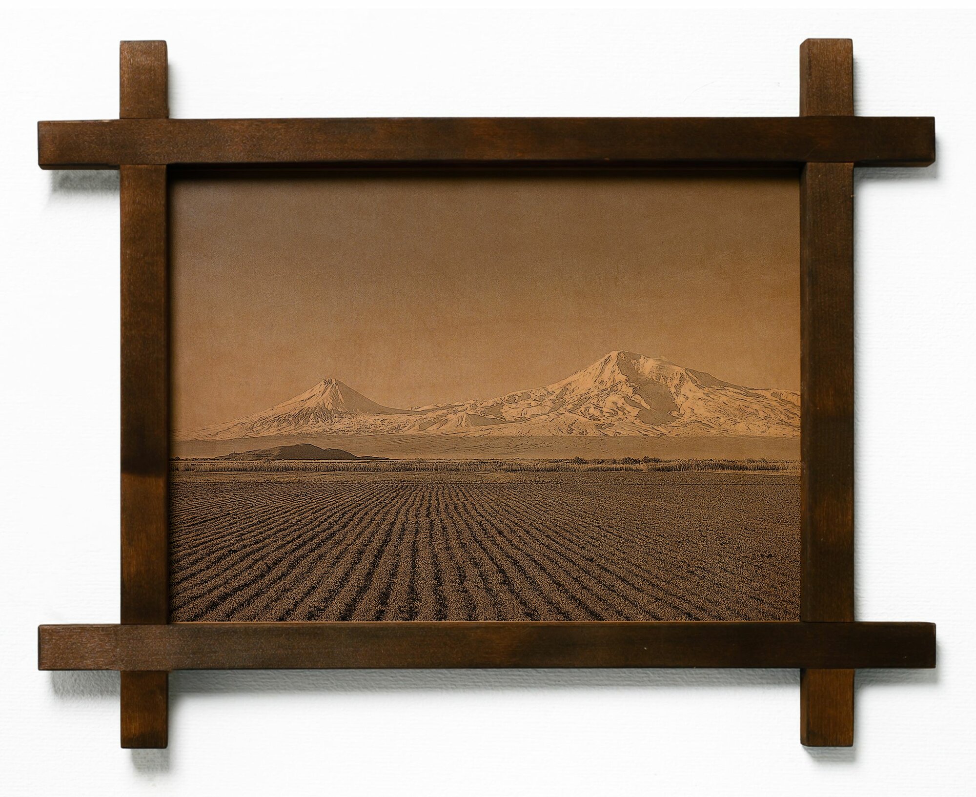Картина интерьерная из кожи "Гора Арарат, Армения", BoomGift