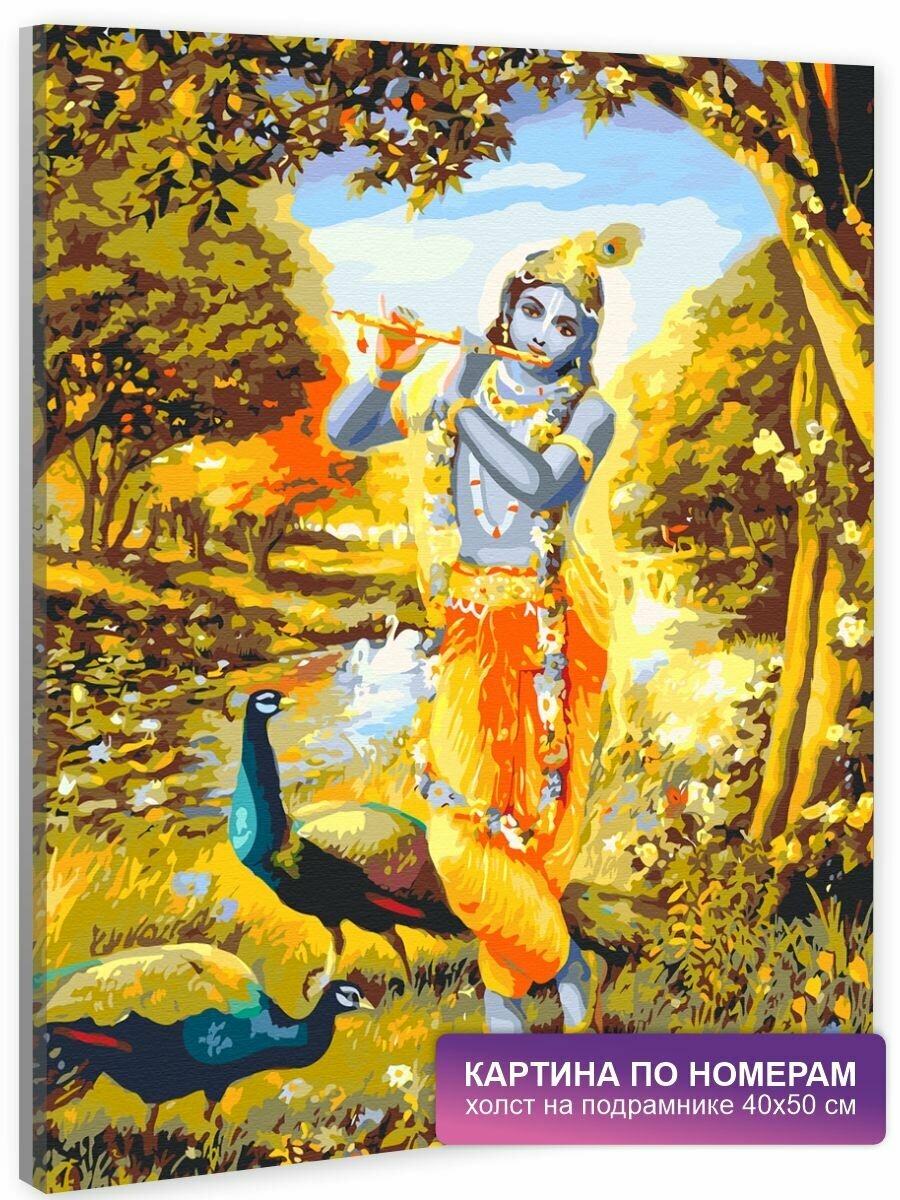 Картина по номерам на холсте с подрамником 40х50 см. Будда, храм, церкви, мечети. "Кришна", арт. 4430/