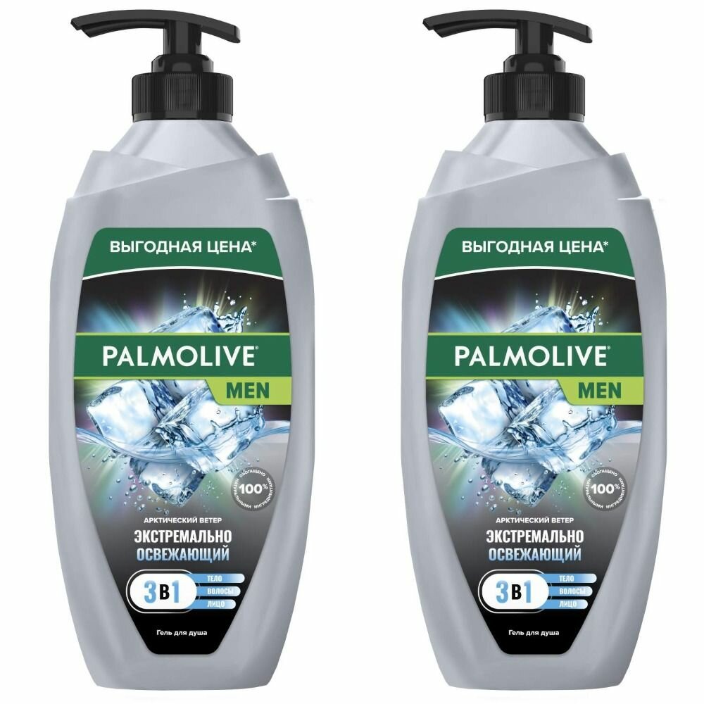PALMOLIVE Гель для душа FOR MEN ACTIVE 3в1, Арктический ветер, 450 мл, 2 шт