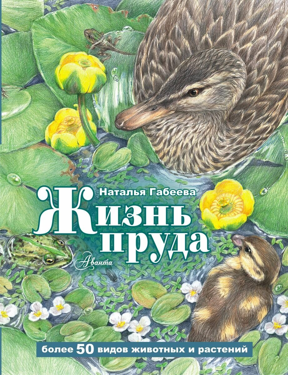 Книга АСТ Оглянись вокруг, Габеева Н. М. Жизнь пруда, 2024 г 7Б, 64 стр
