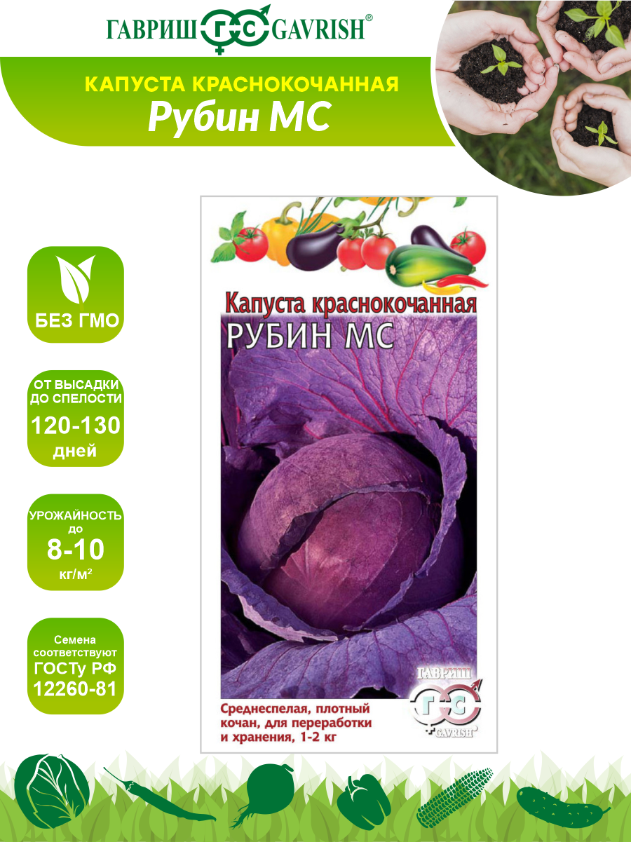 Семена Капуста краснокочанная Рубин МС 0,3 гр.