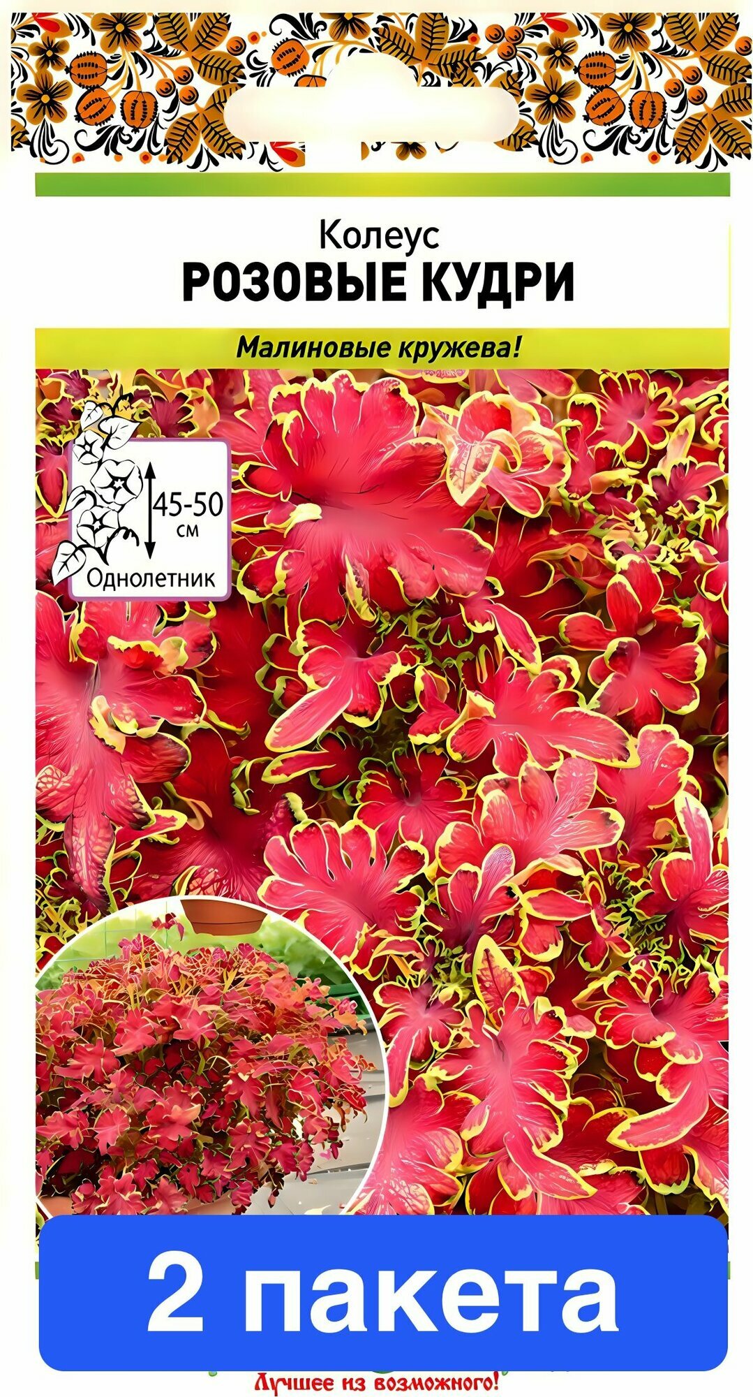 Цветы Колеус Розовые кудри 2 пакета