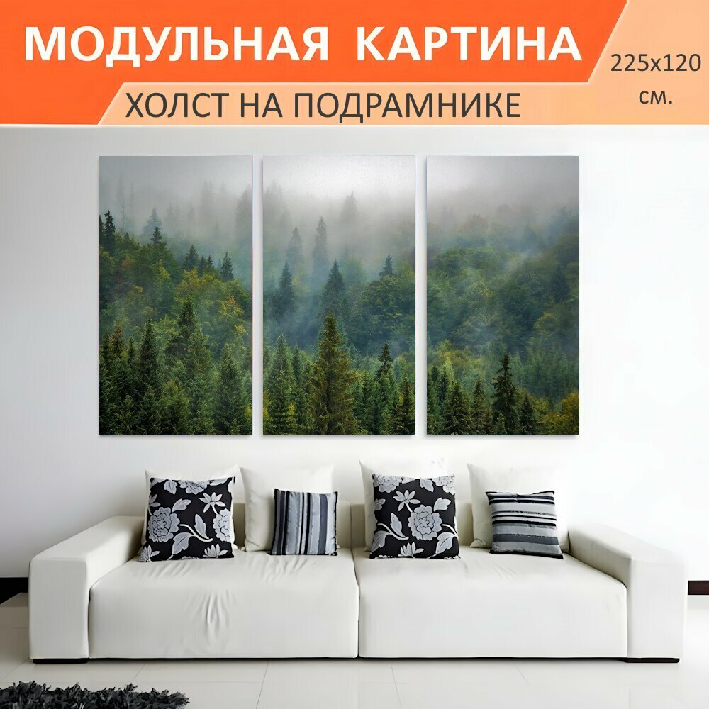 Модульная картина на холсте "Деревья, лес, туман" триптих на подрамнике 225х120 см. для интерьера