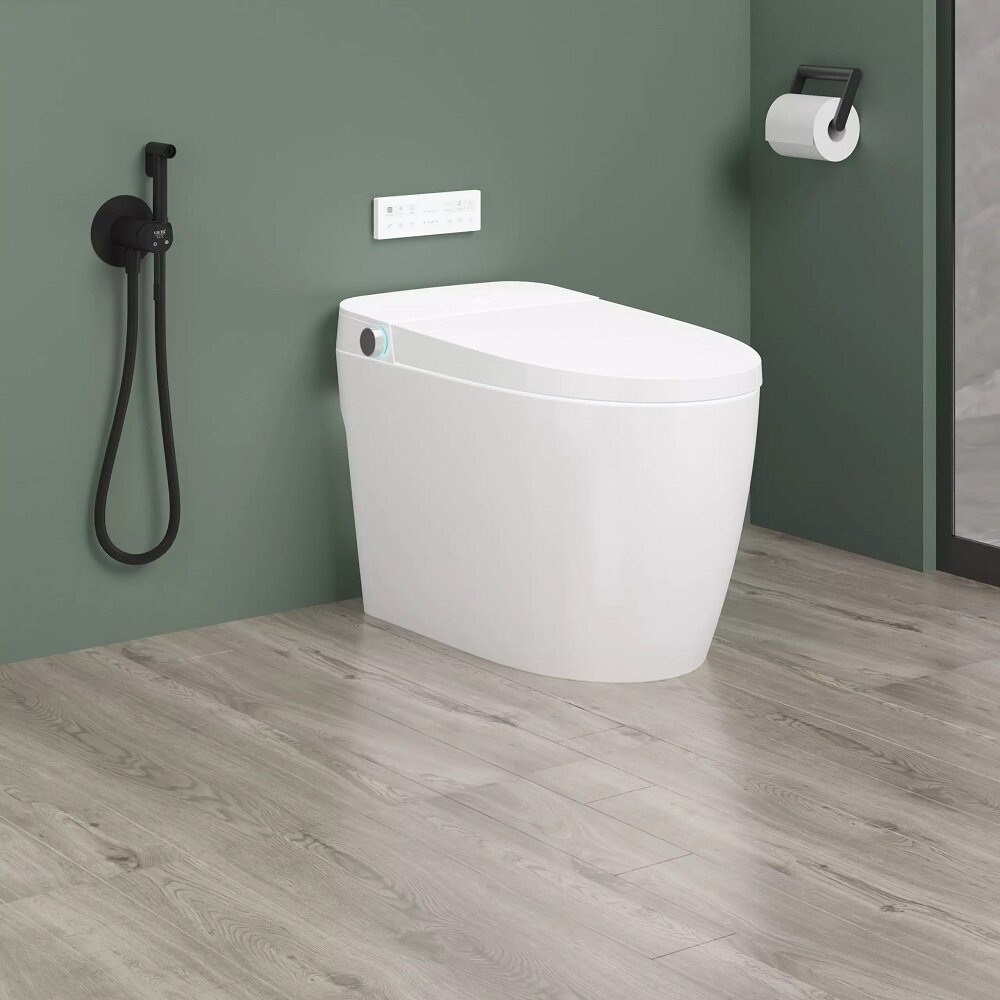 Смеситель для биде из латуни с лейкой и шлангом Vieir V403553-C черный