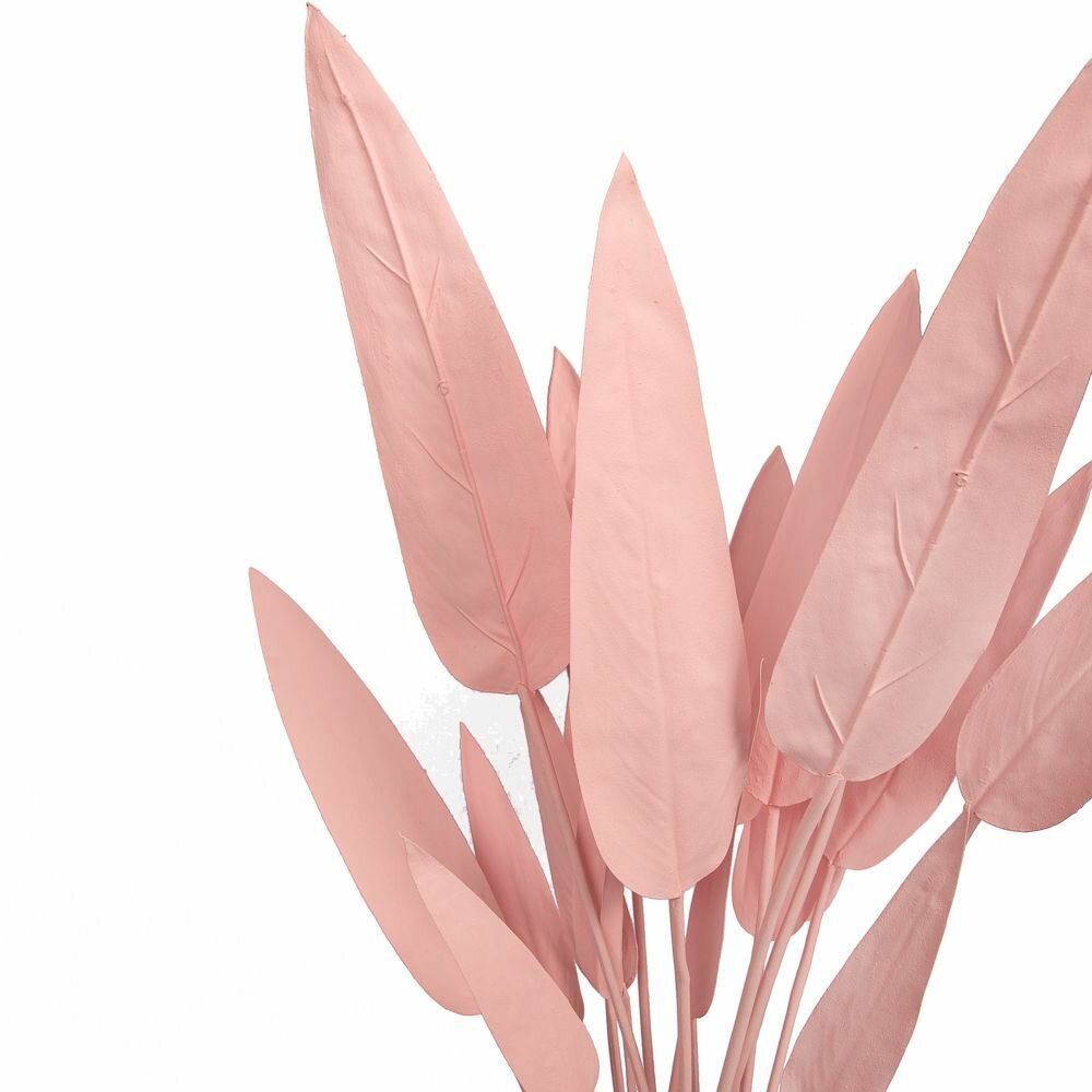 Стрелиция куст в кашпо К75*3-2 d170 h750 розовый