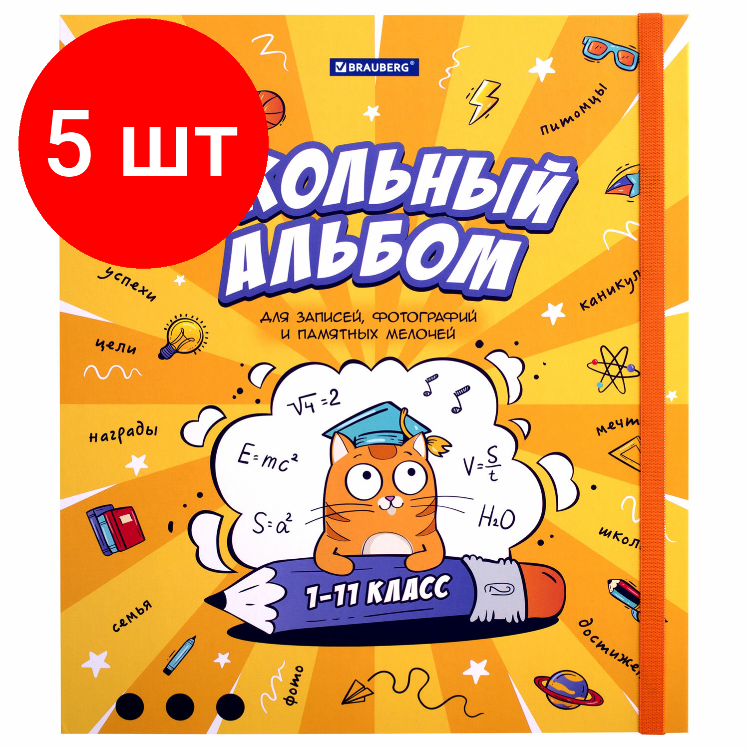 Комплект 5 шт, Папка-портфолио школьника, А4, школьный альбом, 10 вкладышей, магнитный клапан 7БЦ, BRAUBERG, 115242