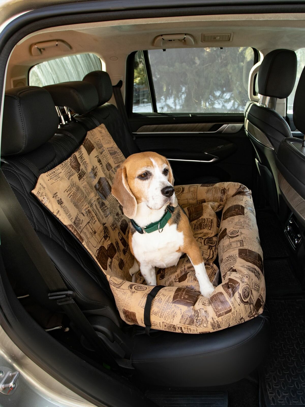 Автокресло для животных