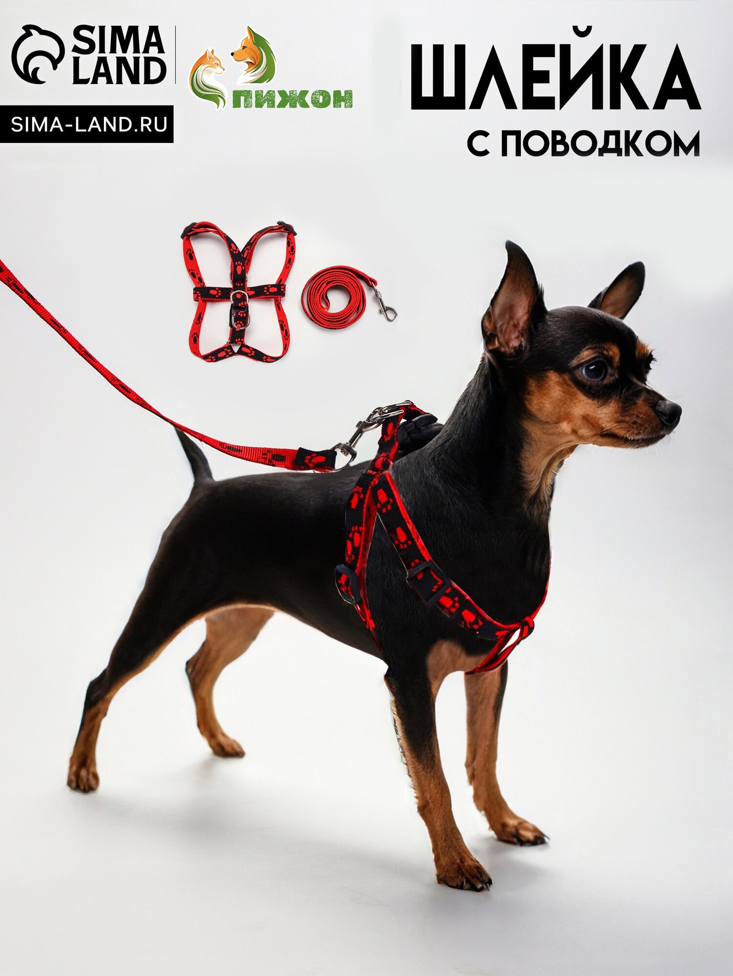 Комплект "Большая лапа", ширина 1,5 см, поводок 120 см, шлейка 28-42 см, красно-чёрный