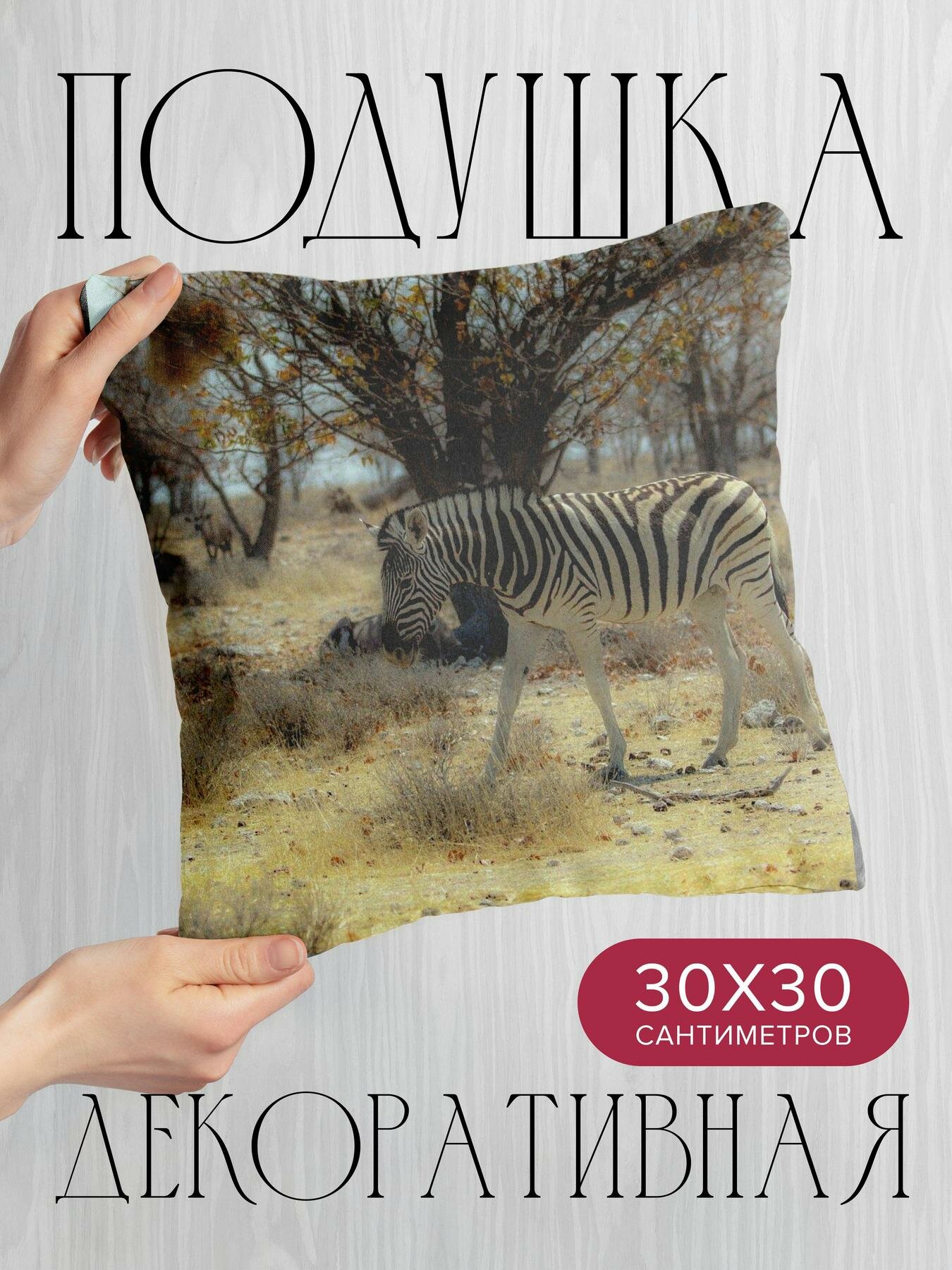 Подушка декоративная, 30x30см / Животные / зебра / природа