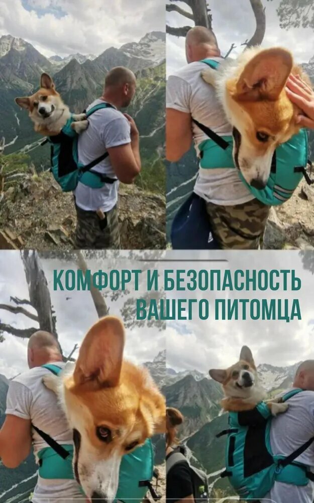 Переноска для собак — фото 1