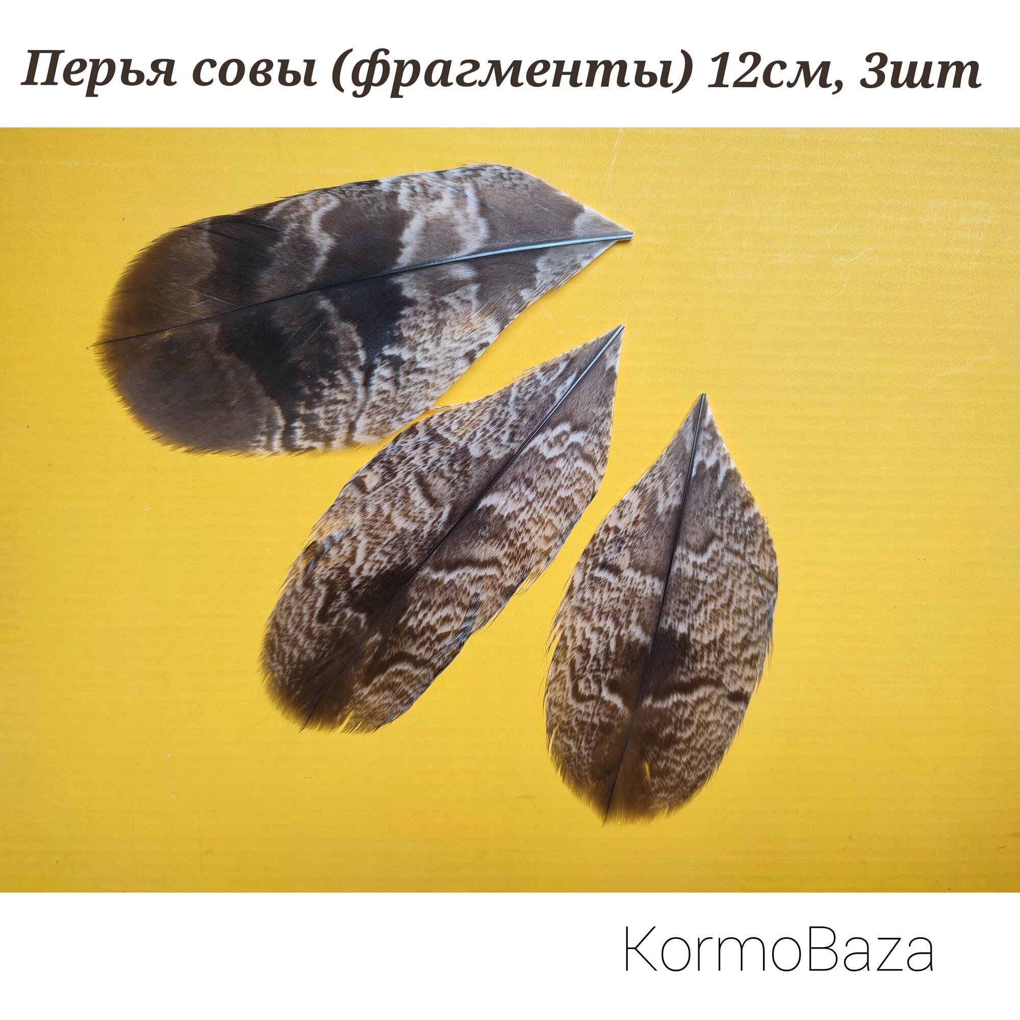 Натуральные перья совы (неясыть). Для творчества и декора