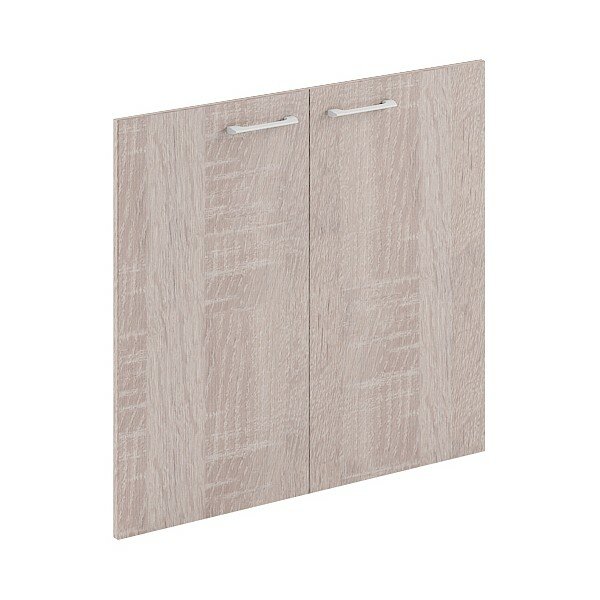 Двери распашные Skyland Xten XLD 42-2