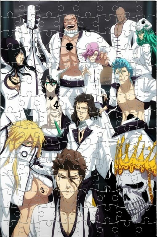 Пазл Блич, Bleach №9
