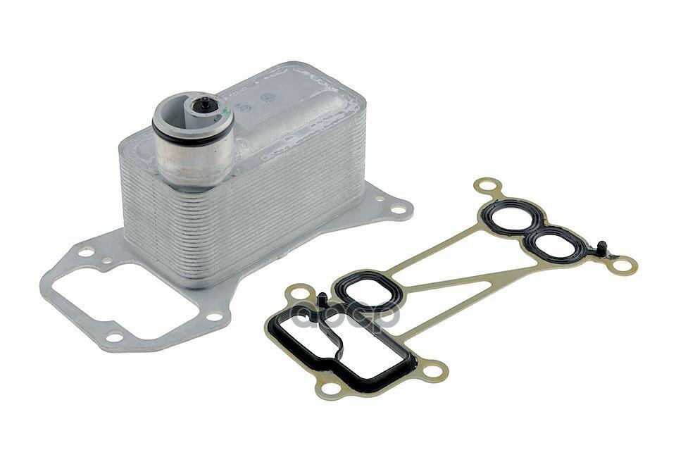Радиатор Масляный: Bmw E90/E91/F10/F07/F11/F01/F02/F03/F04/E70 08- NTY арт. CCLBM010
