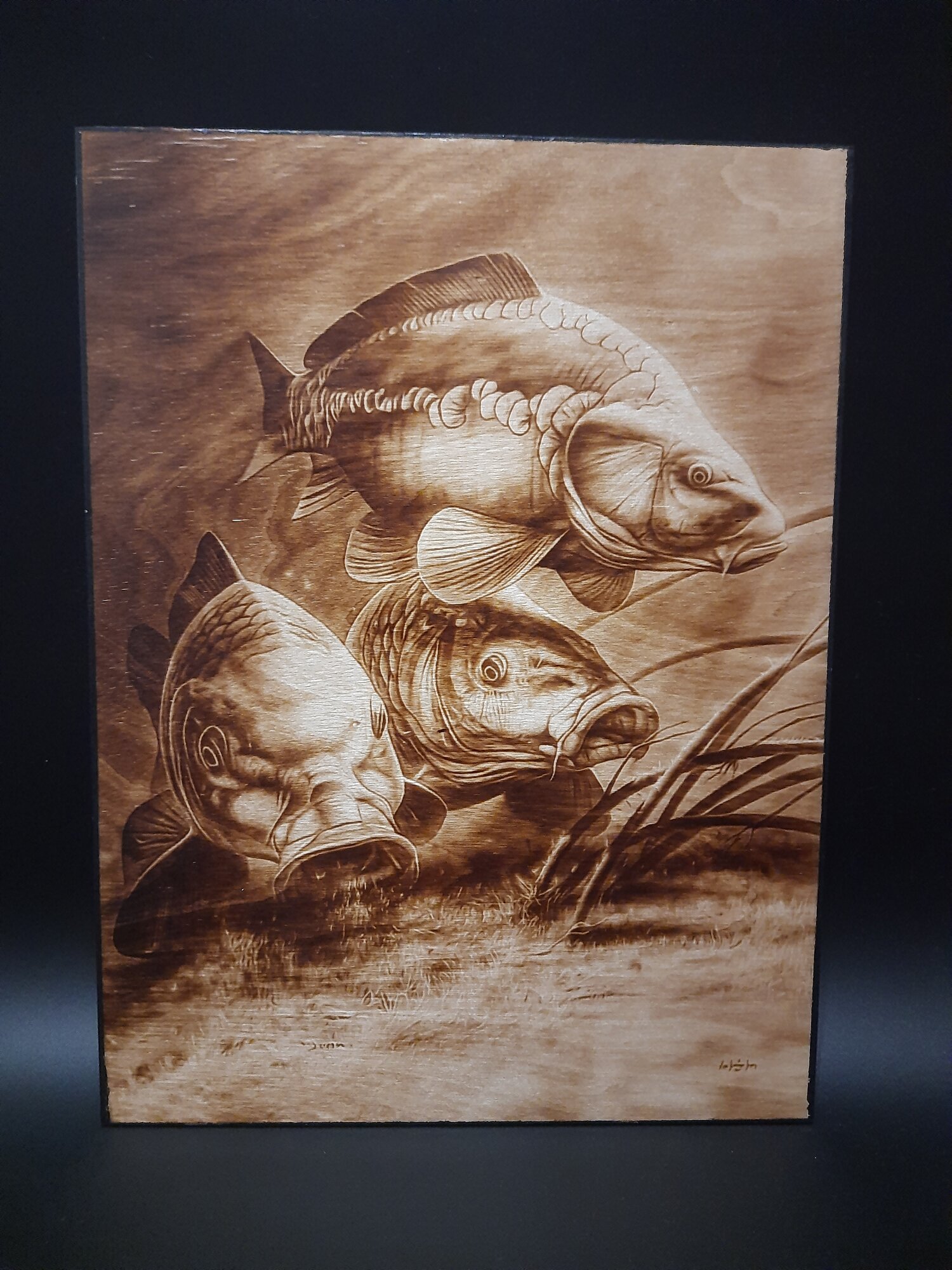 Картина " Карпы " выжженная картина на дереве в формате А3 30×40 см