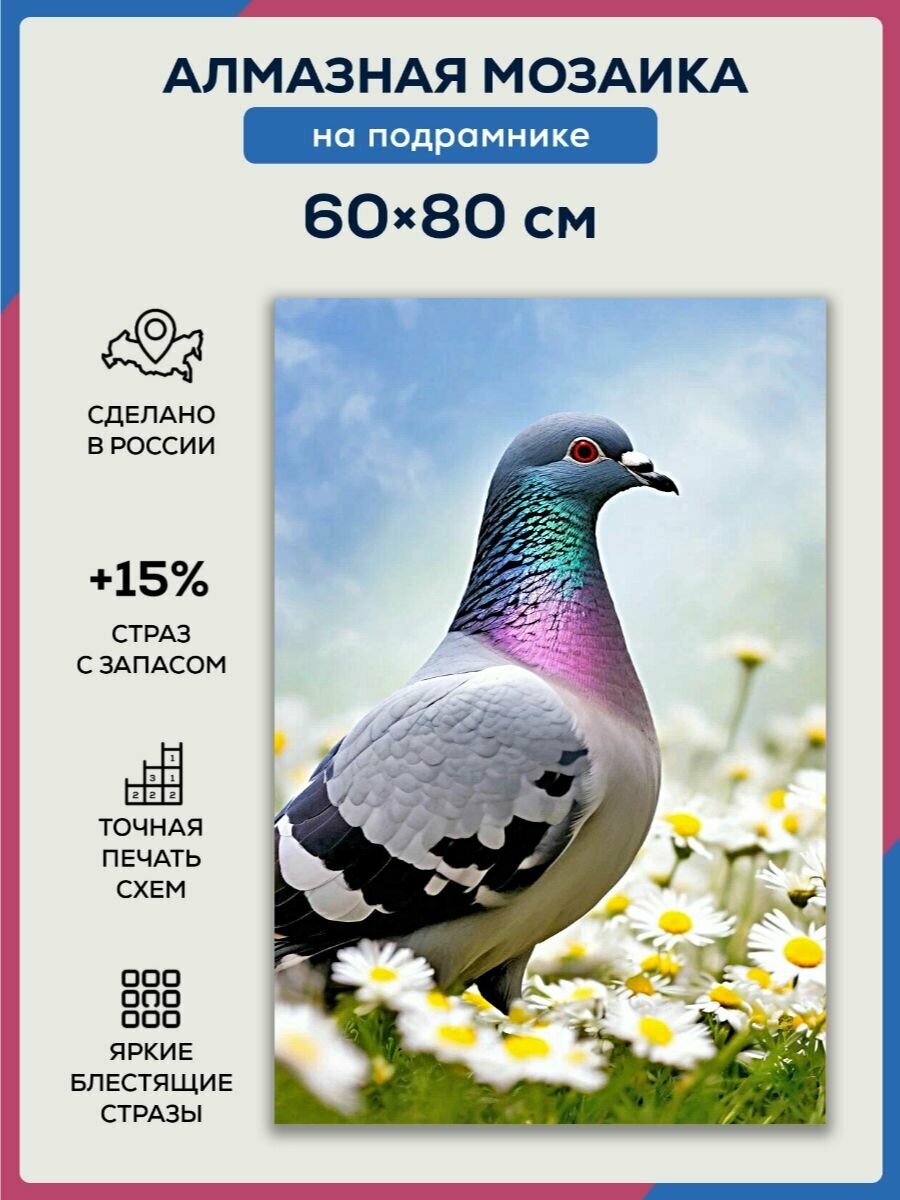 Алмазная мозаика 60x80 Голубь и ромашки на подрамнике