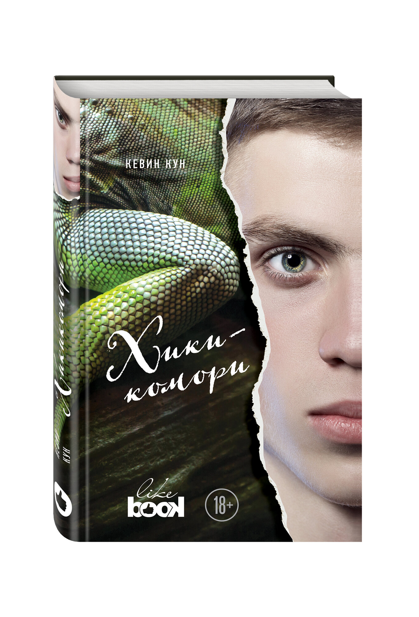 Хикикомори — фото 1