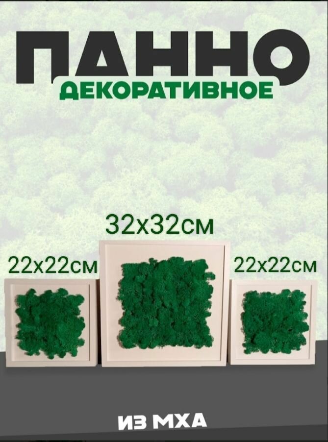 Панно декоративное из стабилизированного мха, панно со мхом