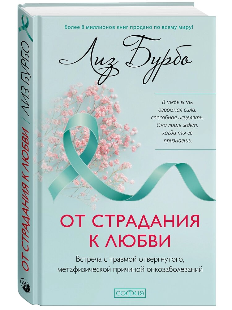 От страдния к любви Книга Бурбо Лиз 16+