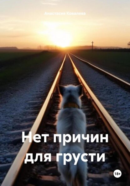 Нет причин для грусти [Цифровая книга]