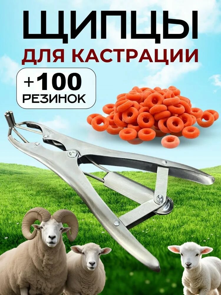 Щипцы для кастрации ягнят овец козлят