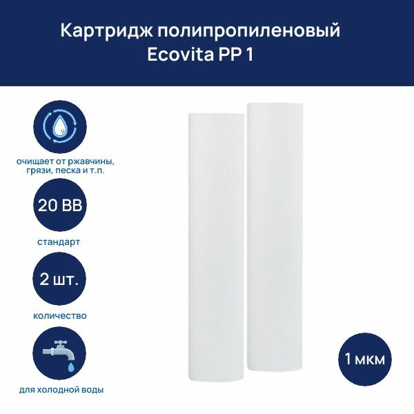 Картридж полипропиленовый Ecovita PP 1 мкм 20BB для холодной воды 2 шт.