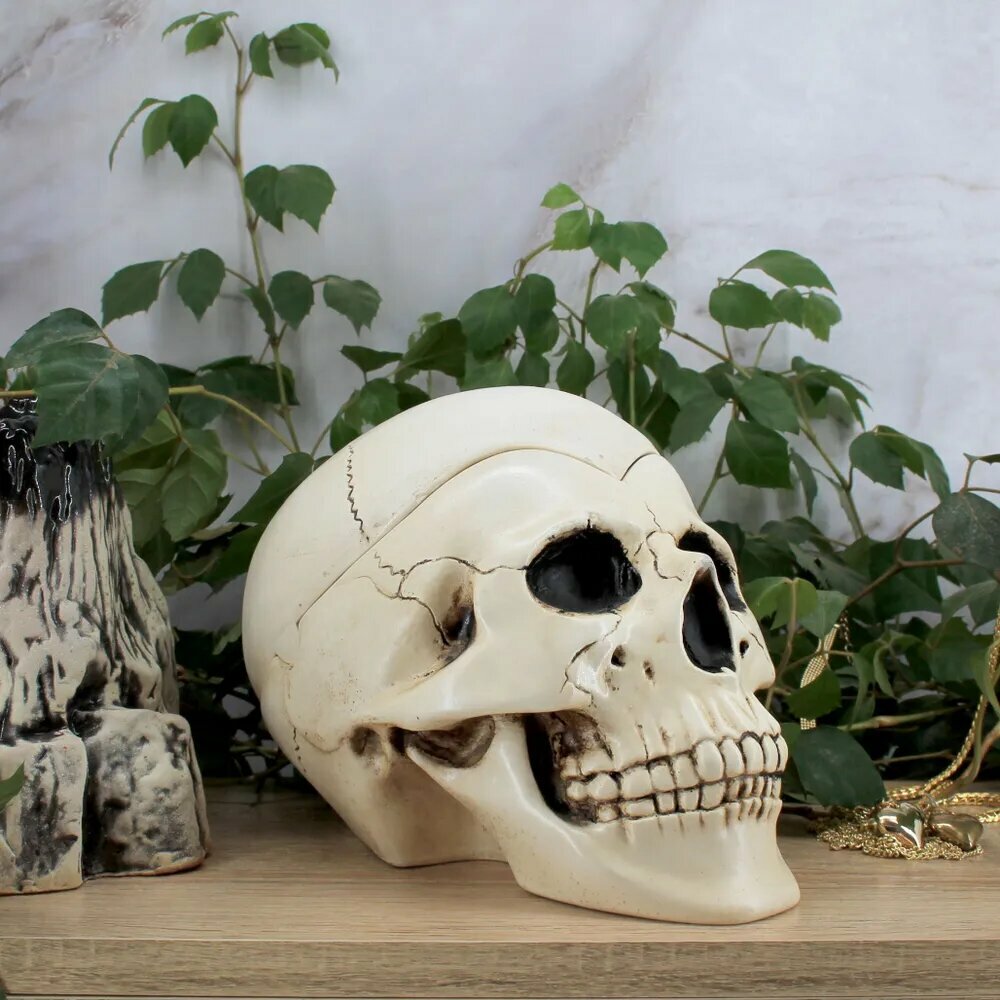 Шкатулка для украшений и мелочей Череп Бедный Йорик большой , гипс , 17 см